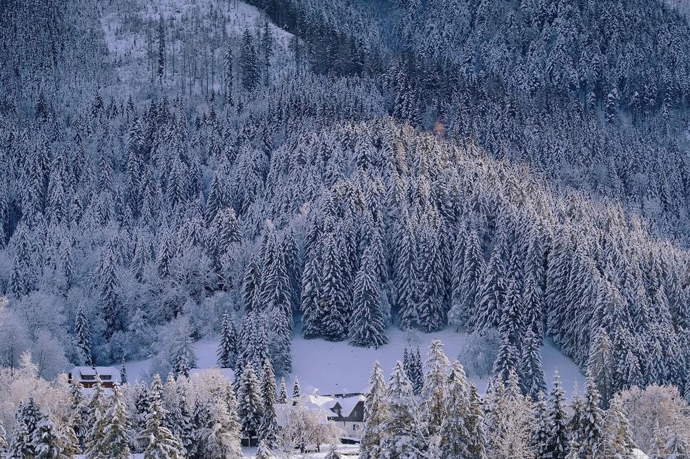 Gdzie na narty Tatry: najlepsze trasy i atrakcje - TargiLato.pl